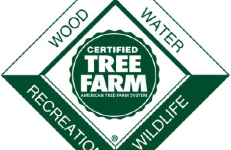 Tree Farm - Florida Forestry Association