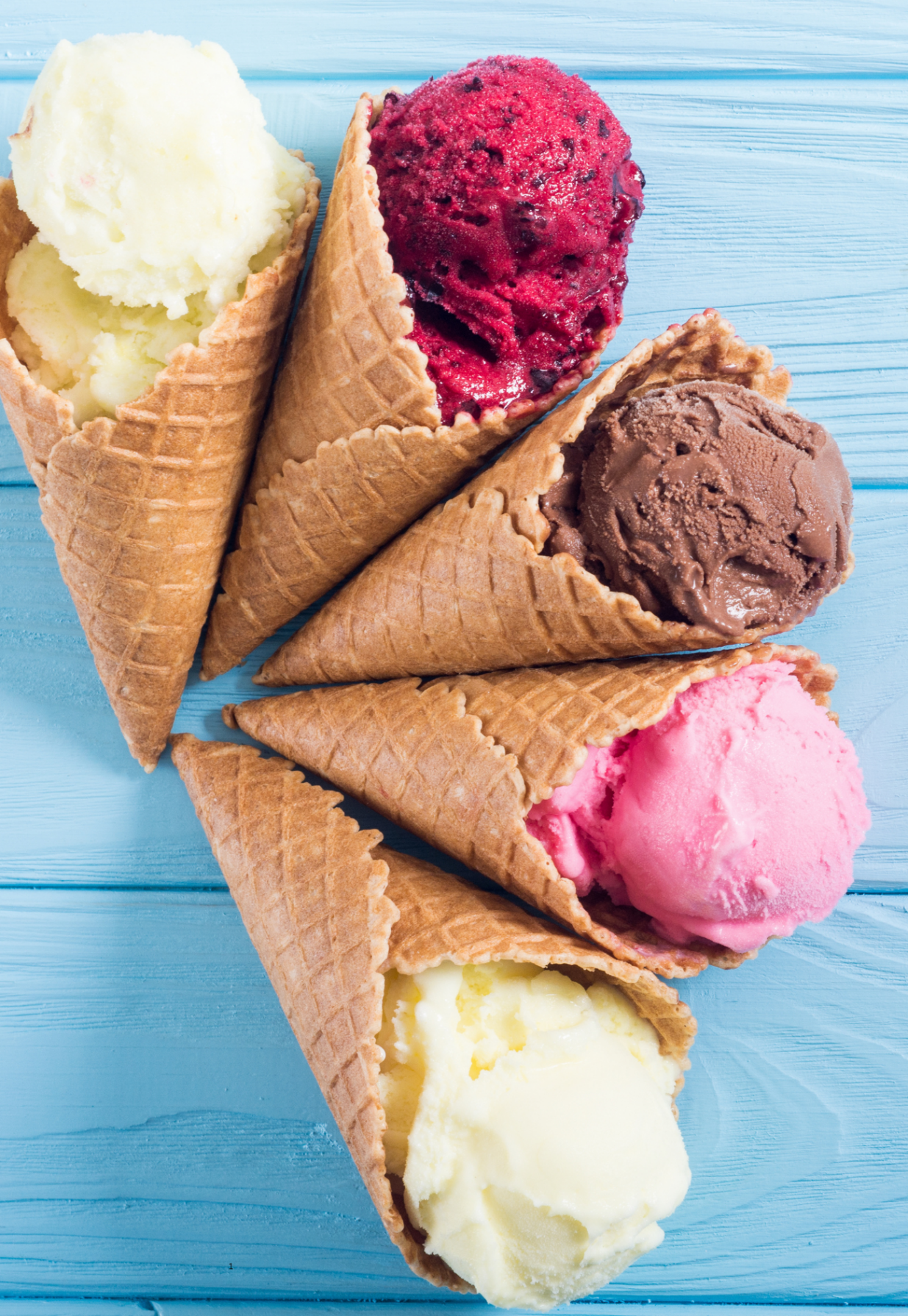 Florida Forestry - Florida Forestry Association