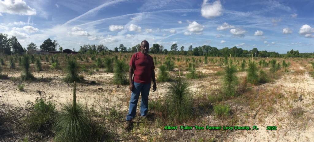 Tree Farm - Florida Forestry Association