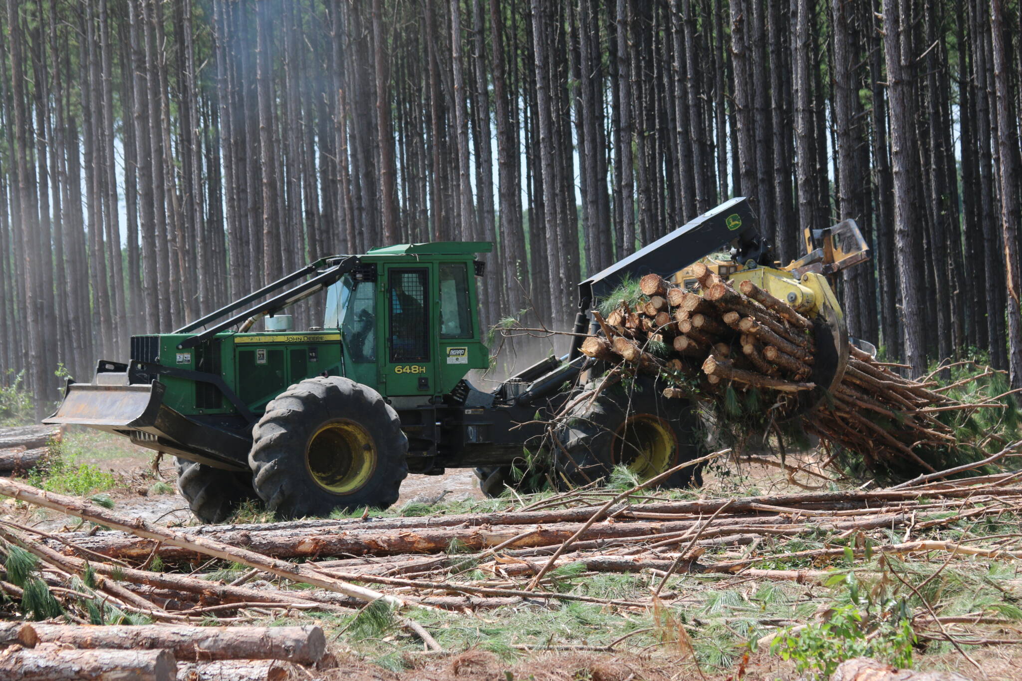 Home - Florida Forestry Association