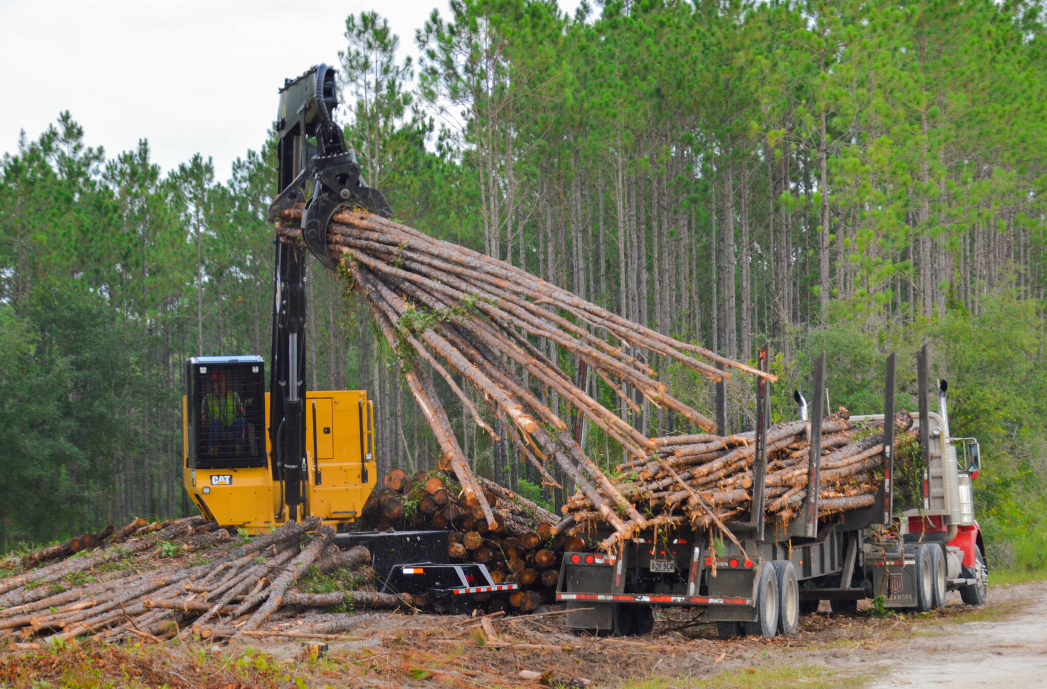Master Loggers Archive - Florida Forestry Association